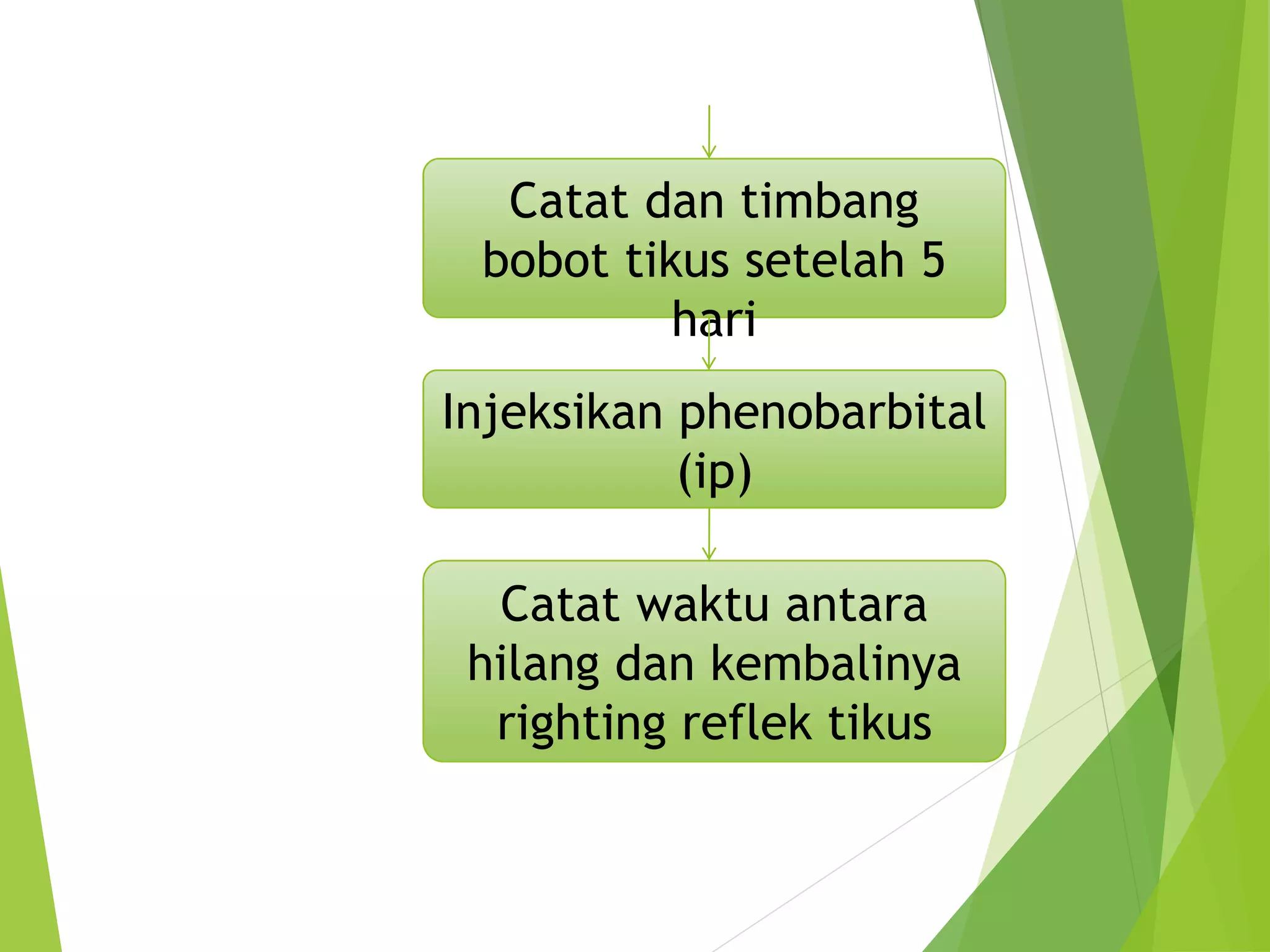 Efek makanan | PPTX