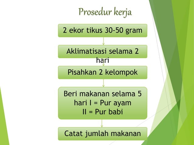 Efek makanan | PPTX