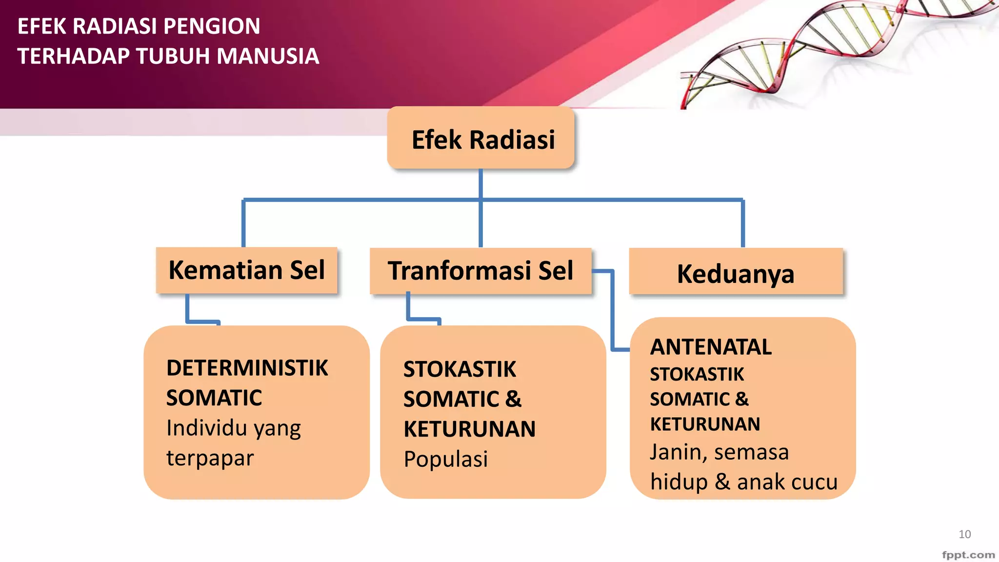 Efek Radiasi dan Proteksi Radiasi pada Pasien Pediatrik [2018] | PDF
