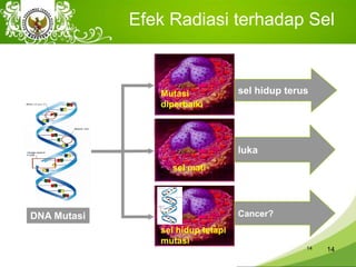 Efek Radiasi terhadap Sistem Biologi.pptx