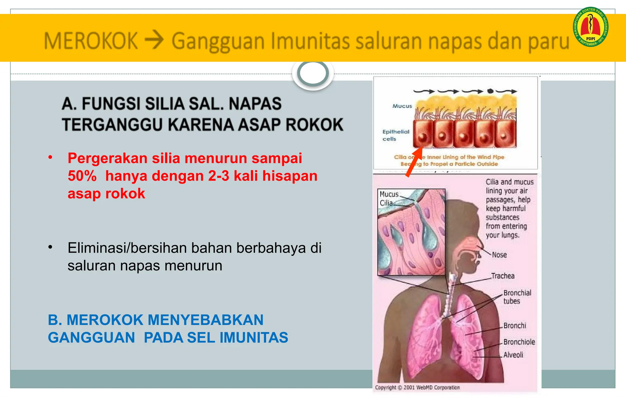 Efek rokok terhadap kesehatan. bahaya... | PPT