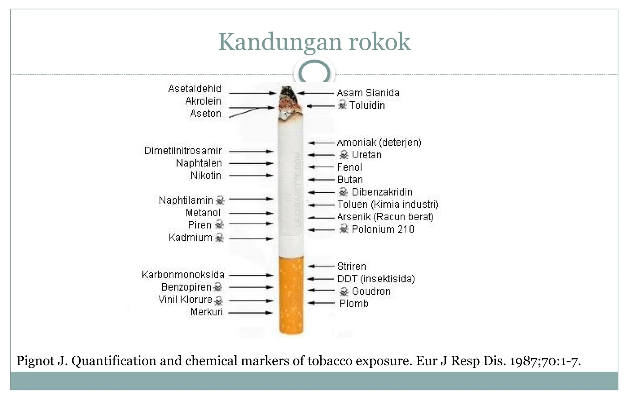 Efek rokok terhadap kesehatan. bahaya... | PPTX