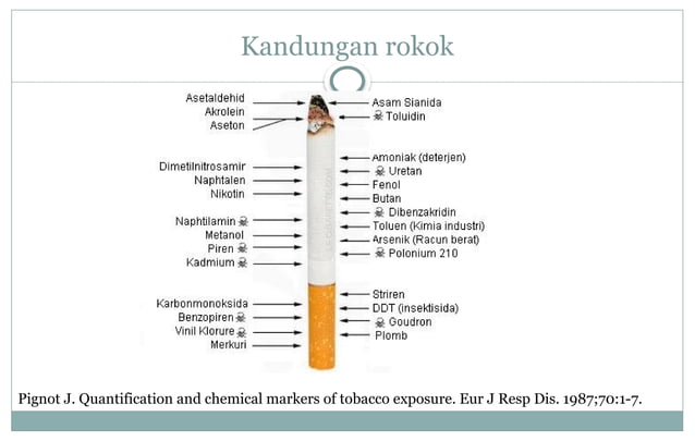 Efek rokok terhadap kesehatan. bahaya... | PPT