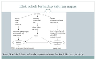 Efek rokok terhadap kesehatan. bahaya... | PPT