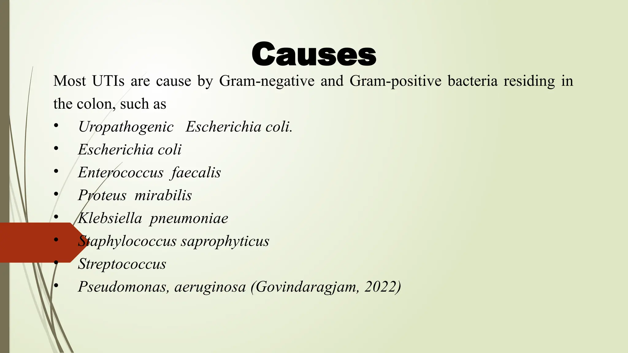 Urinary tract Infection, causes, prevention and treatment.pptx