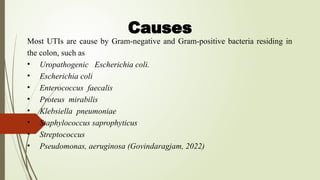 Urinary tract Infection, causes, prevention and treatment.pptx