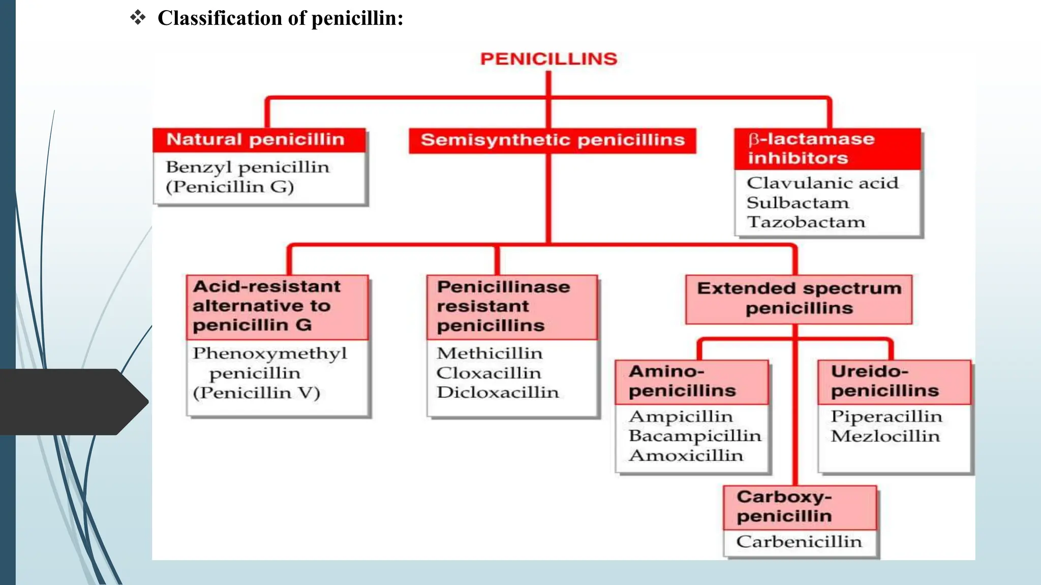 _beta-lactam antibiotics M pharmacy Pharmacology | PPTX