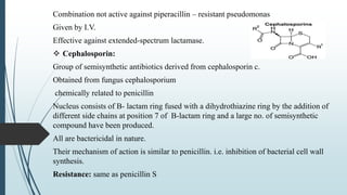_beta-lactam antibiotics M pharmacy Pharmacology | PPTX