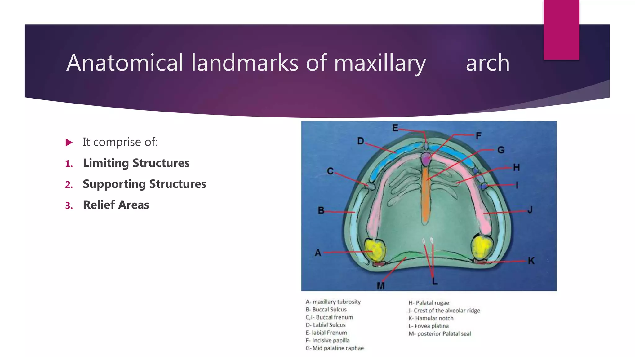 Anatomical landmarks of edentulous maxillary arch | PPTX