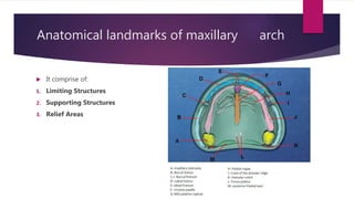 Anatomical landmarks of edentulous maxillary arch | PPTX