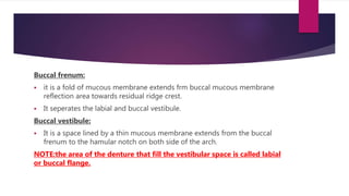 Anatomical landmarks of edentulous maxillary arch | PPTX