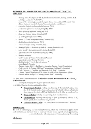 C.V. - Ali Roumani - new | PDF