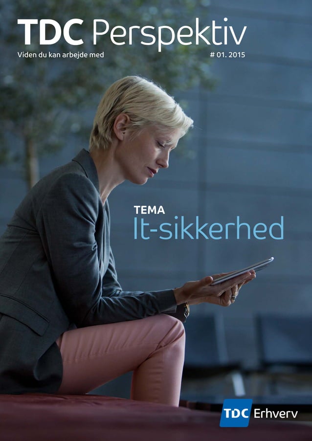 TDC Perspektiv - Tema om IT-Sikkerhed | PDF