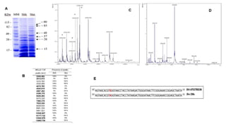 effects of Microplate Type in Broth additives on Microdilution.pptx ...