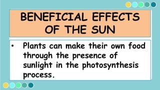 effect-of-the-sun.pptx.................... | PPTX