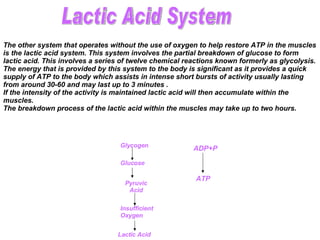 Effect Of Training On The Anaerobic Energy System Amy T | PPT