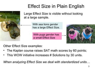 Effect Size | PPT