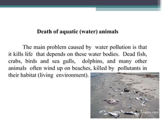 Water Pollution -Its Effect and control at small Scale | PPTX ...