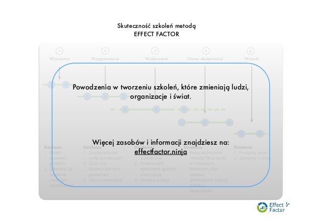 Effect Factor proces
