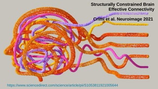 Structurally constrained effective brain connectivity | PPT