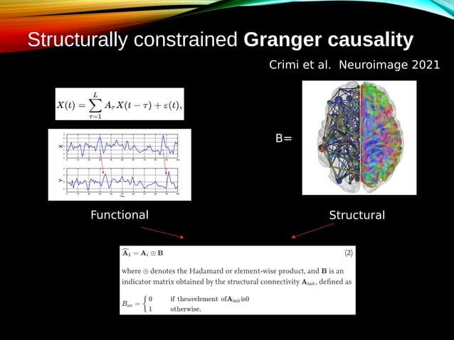 Structurally constrained effective brain connectivity | PPT