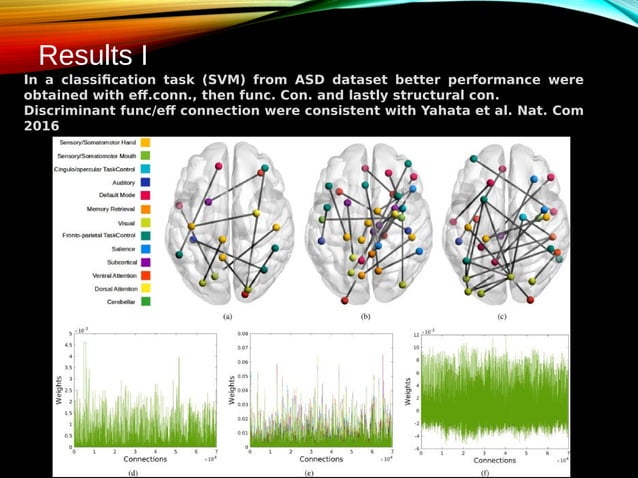Structurally constrained effective brain connectivity | PPT