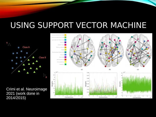 Structurally constrained effective brain connectivity | PPT