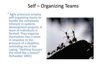 Effective Agile Teams | PPT