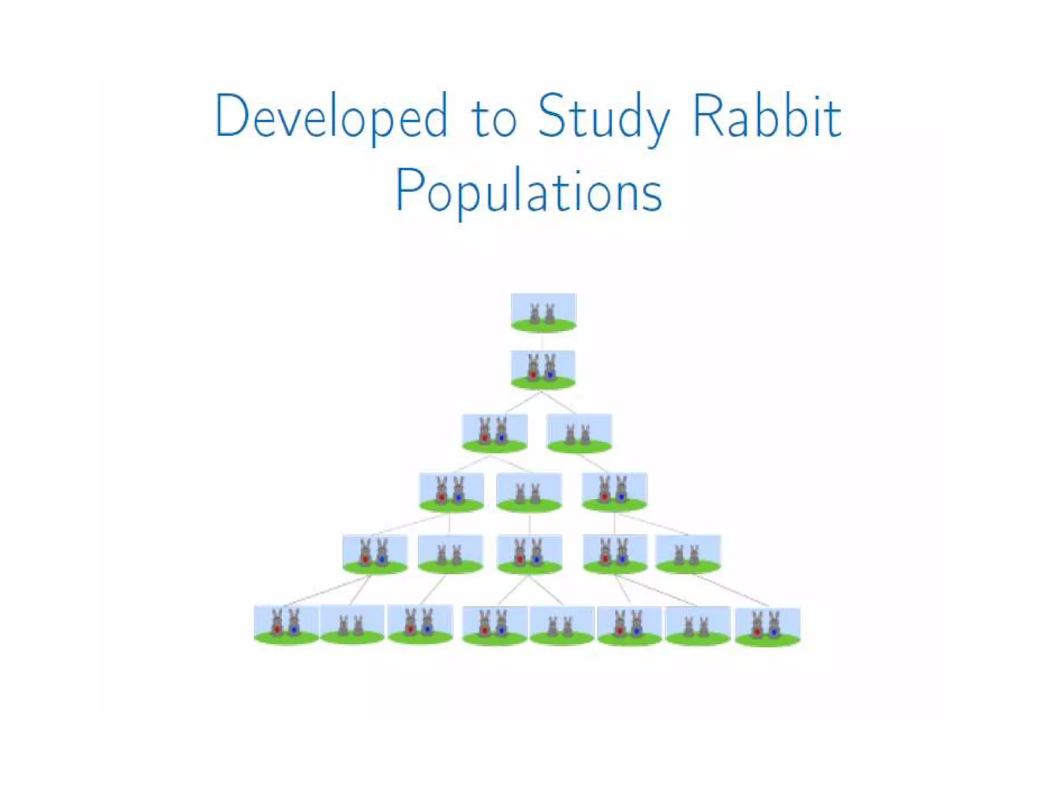 Effective Algorithm for n Fibonacci Number By: Professor Lili Saghafi | PPT