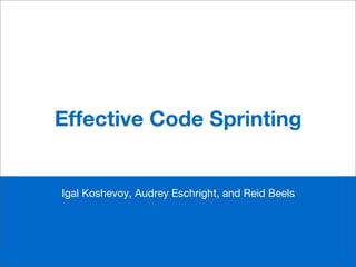 Effective Code Sprinting | PPT