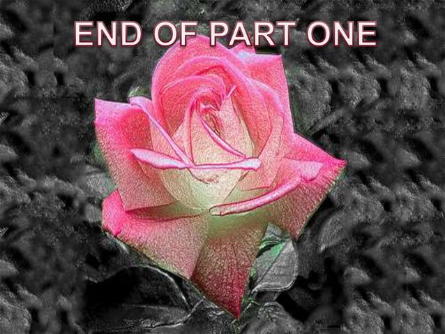 Effective communication | PPSX | Computer Networking | Computing