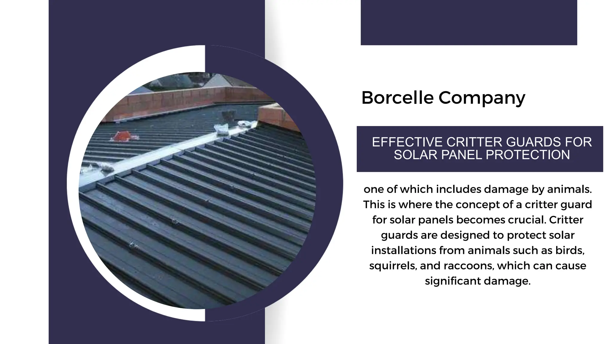 Effective Critter Guards for Solar Panel Protection.pptx
