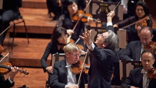 Effective High Performance Team Dynamics for Code Blue Team | PPTX