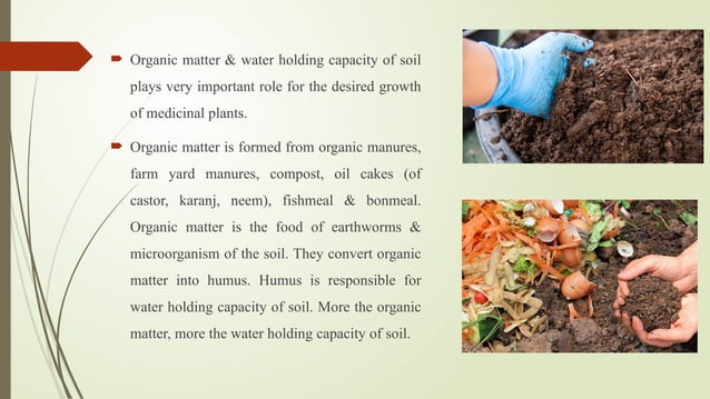 Effective Microorganism maintaining ecological balance | PPT