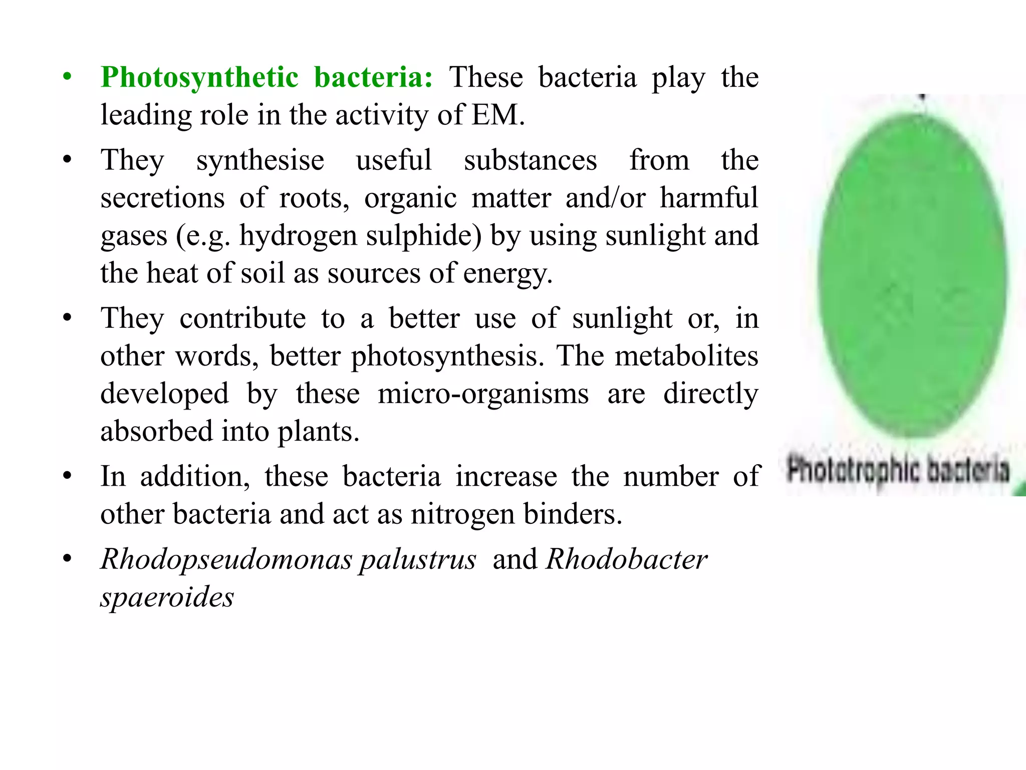 Effective microorganisms | PPTX