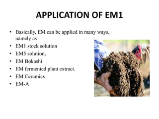 Effective microorganisms | PPTX