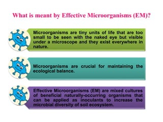 Effective microorganisms | PPTX