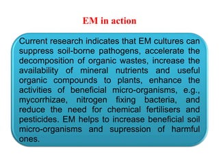 Effective microorganisms | PPTX