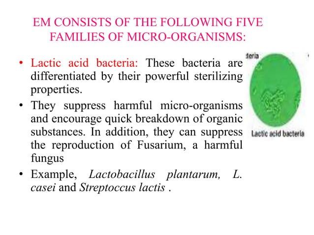 Effective microorganisms | PPTX