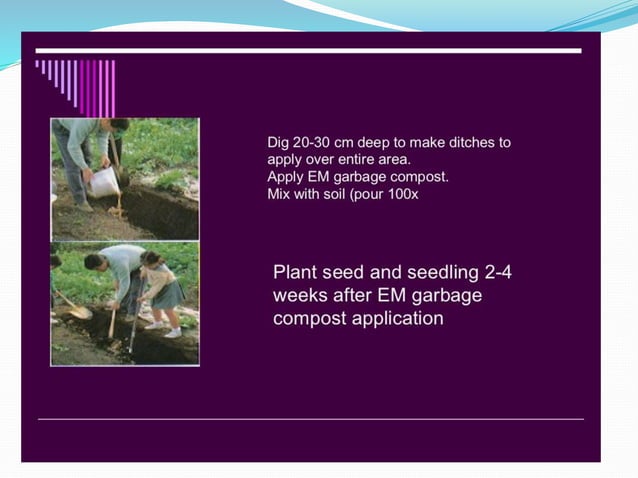 Effective microorganism technology by allah dad khan | PPTX | Gardening ...