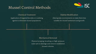 Effective Mussel Control in Lakes Solutions by Invasive Species ...