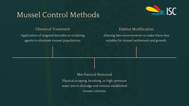 Effective Mussel Control in Lakes Solutions by Invasive Species ...