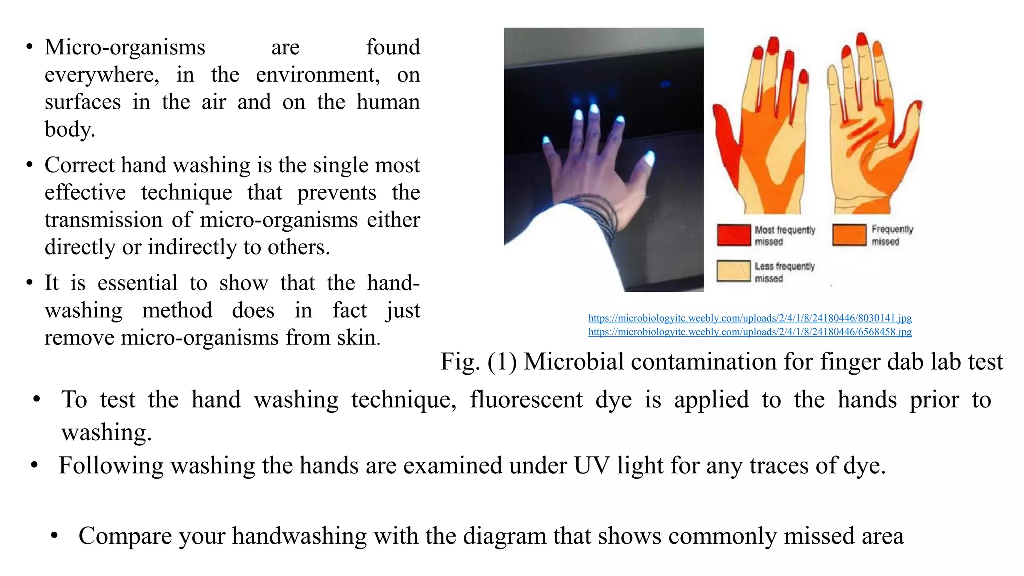 Effectiveness of hand washing | PDF