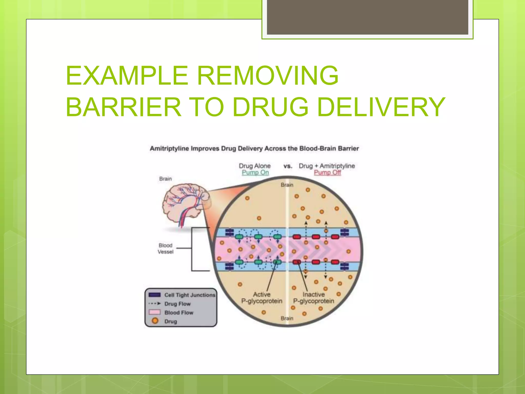Effective permeation and retention effect [epr effect | PPTX