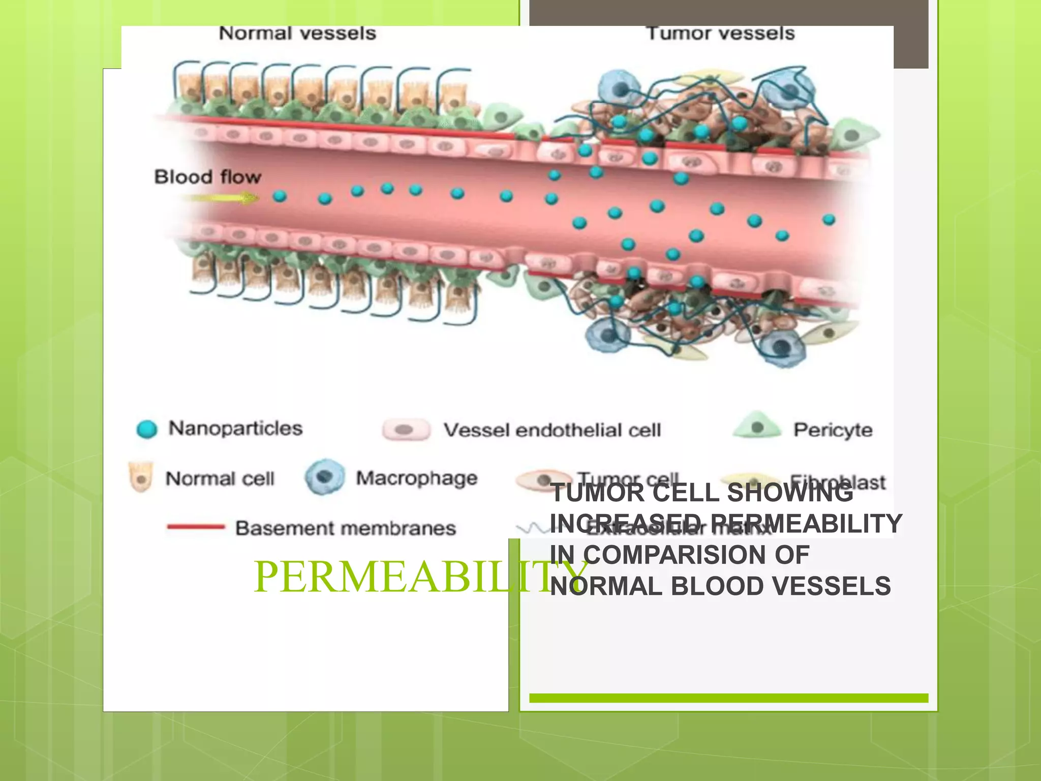 Effective permeation and retention effect [epr effect | PPTX