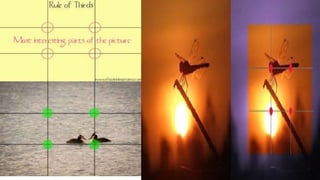 Effective photography with composition | PPTX | Cameras and Camcorders ...