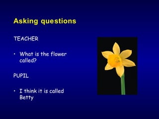 Effective Questioning | PPT