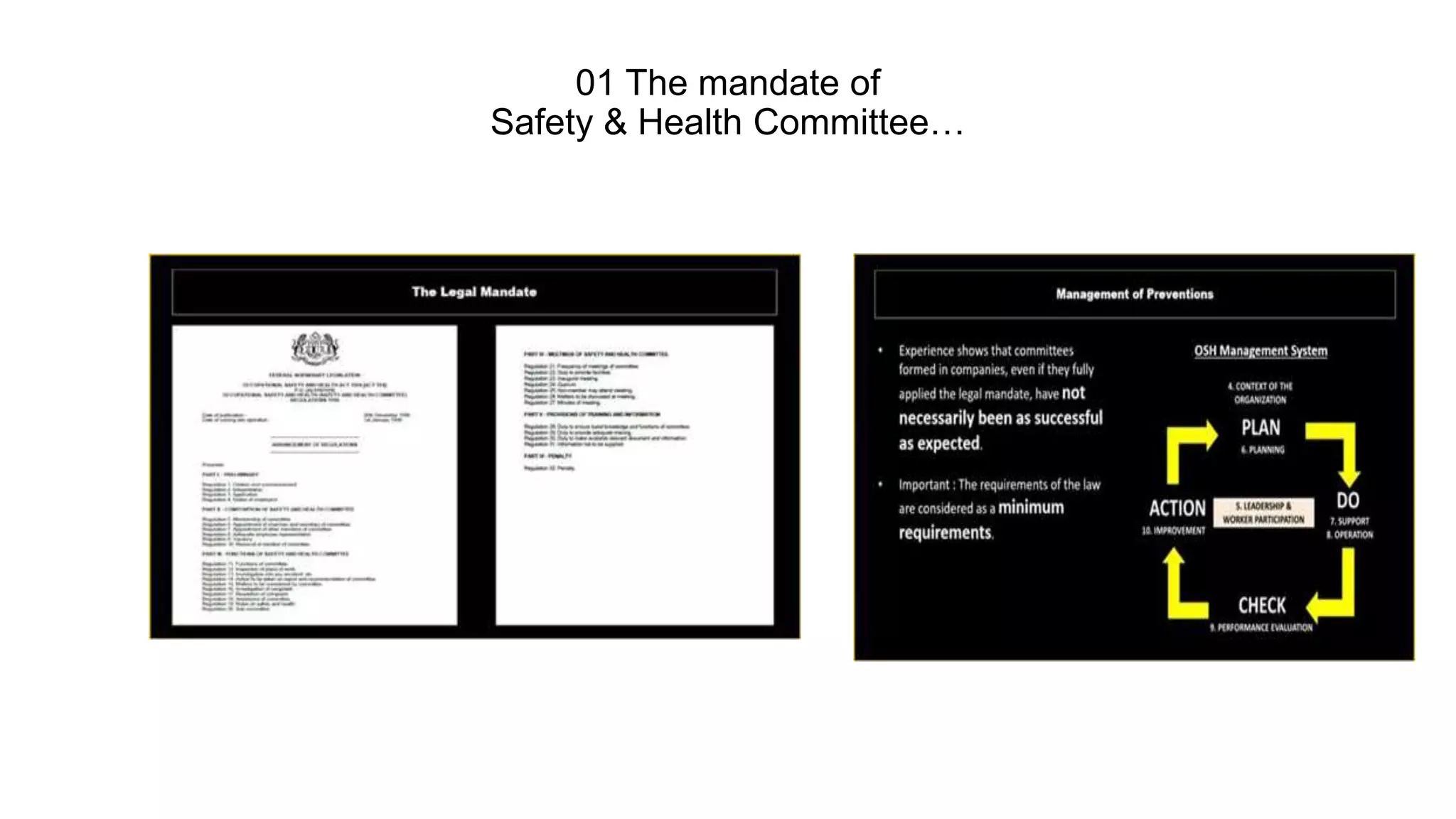 EFFECTIVE SAFETY & HEALTH COMMITTEE.pptx