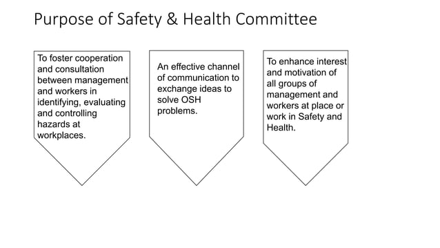 EFFECTIVE SAFETY & HEALTH COMMITTEE.pptx | Human Resources | Business
