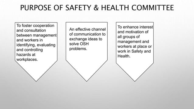 Effective Safety Health Committee training.pptx